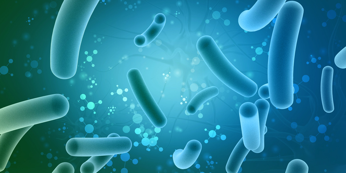What are Probiotics? - The Probiology